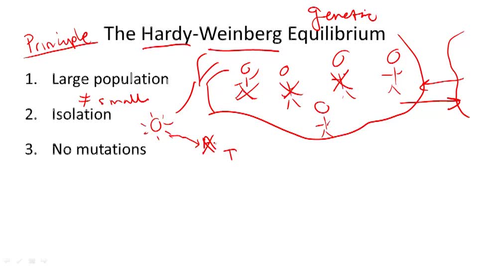Sources of Evolution - Example 6 ( Video ) | Biology | CK-12 Foundation