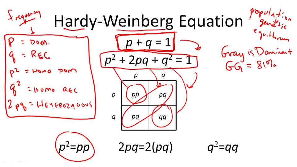 Sources of Evolution - Example 7 ( Video ) | Biology | CK-12 Foundation
