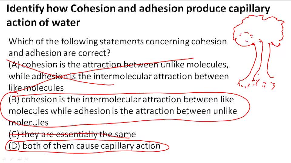 Hydrogen Bonding - Example 2 ( Video ) | Chemistry | CK-12 Foundation