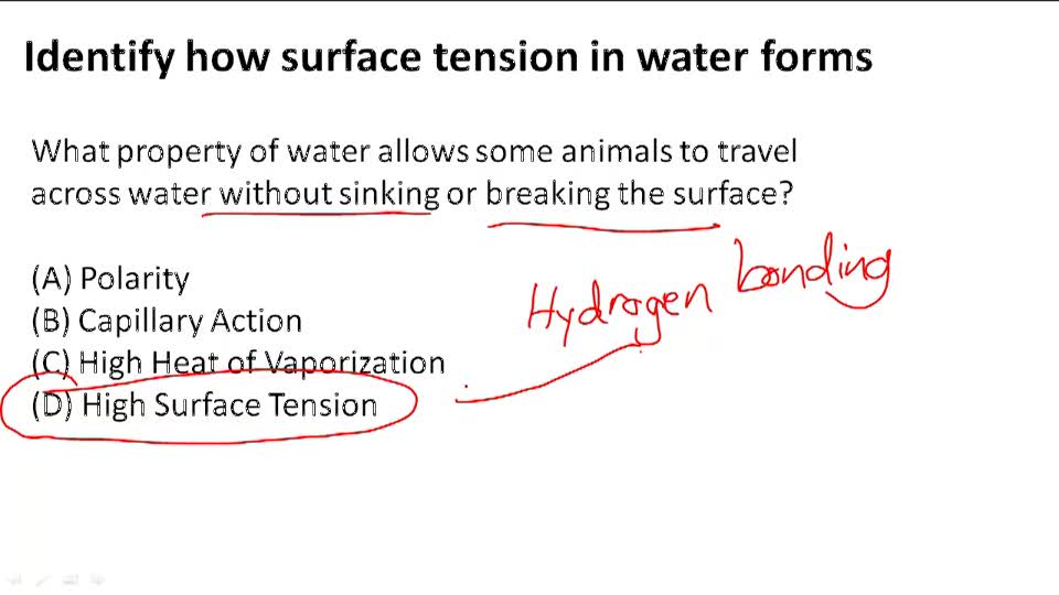 Hydrogen Bonding - Example 3 ( Video ) | Chemistry | CK-12 Foundation
