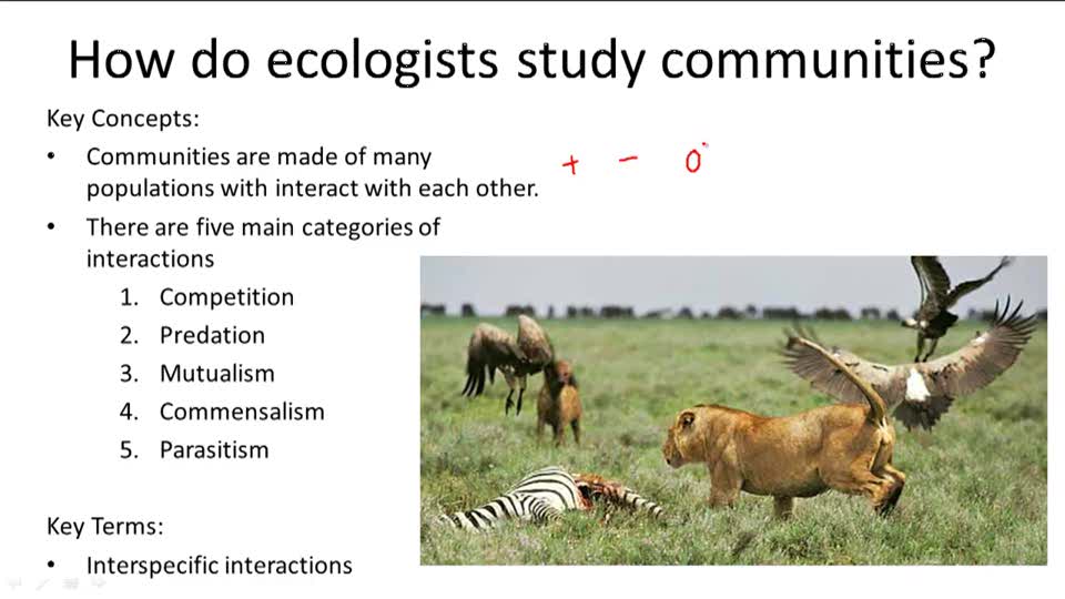 Relationships among Populations - Overview ( Video ) | Biology | CK-12 ...