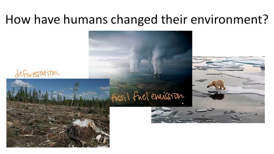 Human Impact - Overview ( Video ) | Biology | CK-12 Foundation