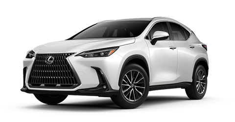 2023 Lexus NX 250 Specs and Features