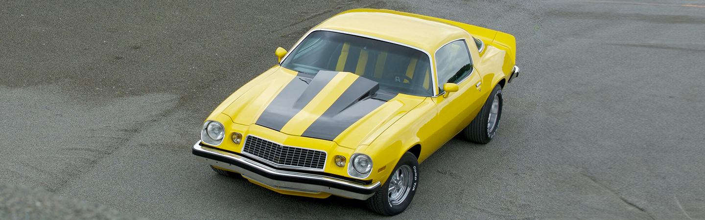 1979 Chevrolet Camaro Engine | Autoworld of Conway