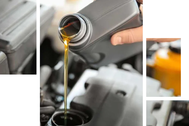 Service Department near Gainesville