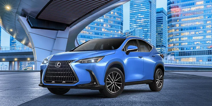 Monthly Specials | Lexus of Sarasota