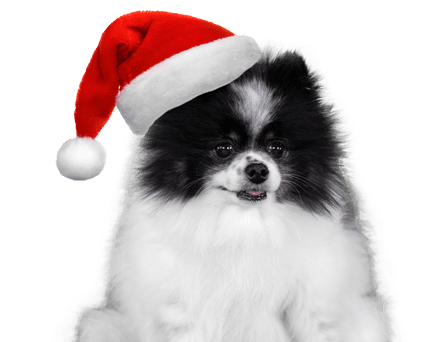 Bike and Toy Drive | Spitzer Chevrolet of Amherst