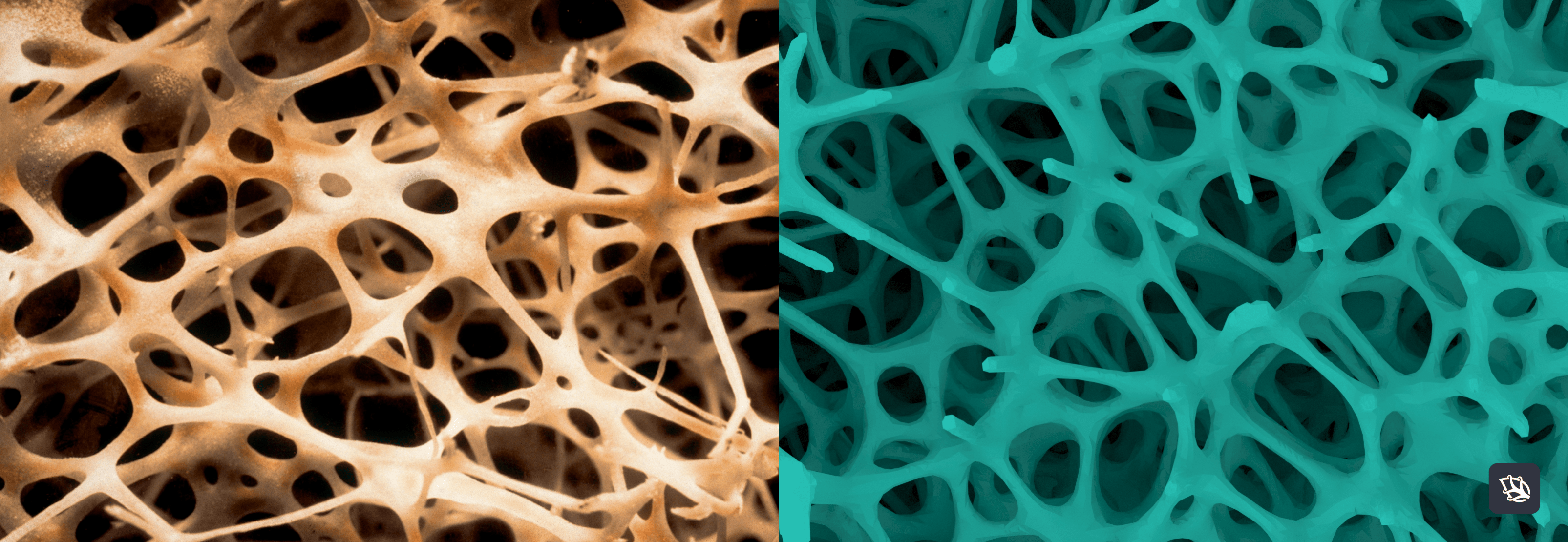 Generative Design / Generative Engineering - Peter Domeracki - Clarity