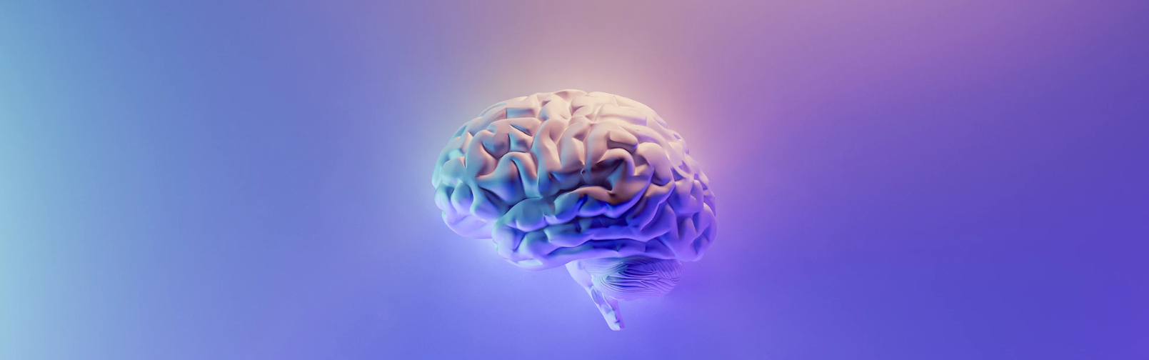 Our Brain Is a Quantum Machine! Unlock the Full Potential of Your Being ...