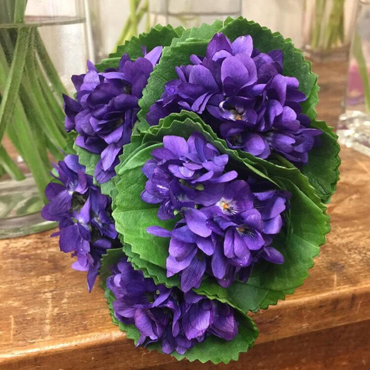 Kristin Edstrom - Product Licensing, Brand Licensing, Trademark ...