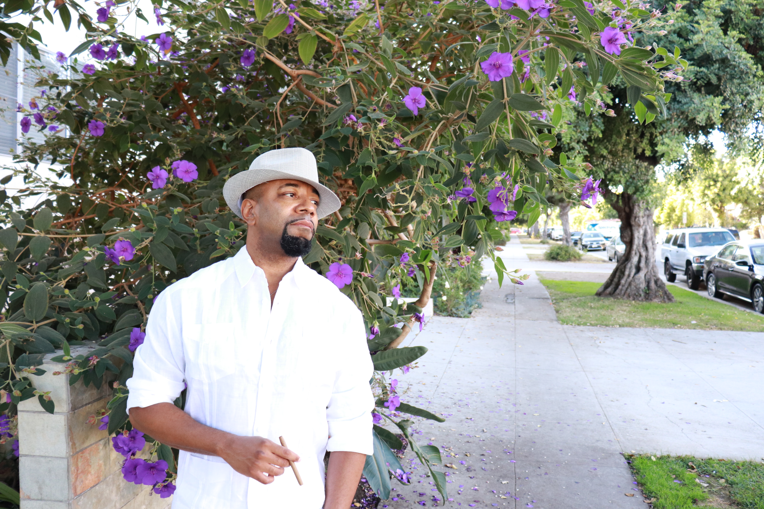 Joseph Slade - I Will Give Advice on Software Development Expert - Clarity