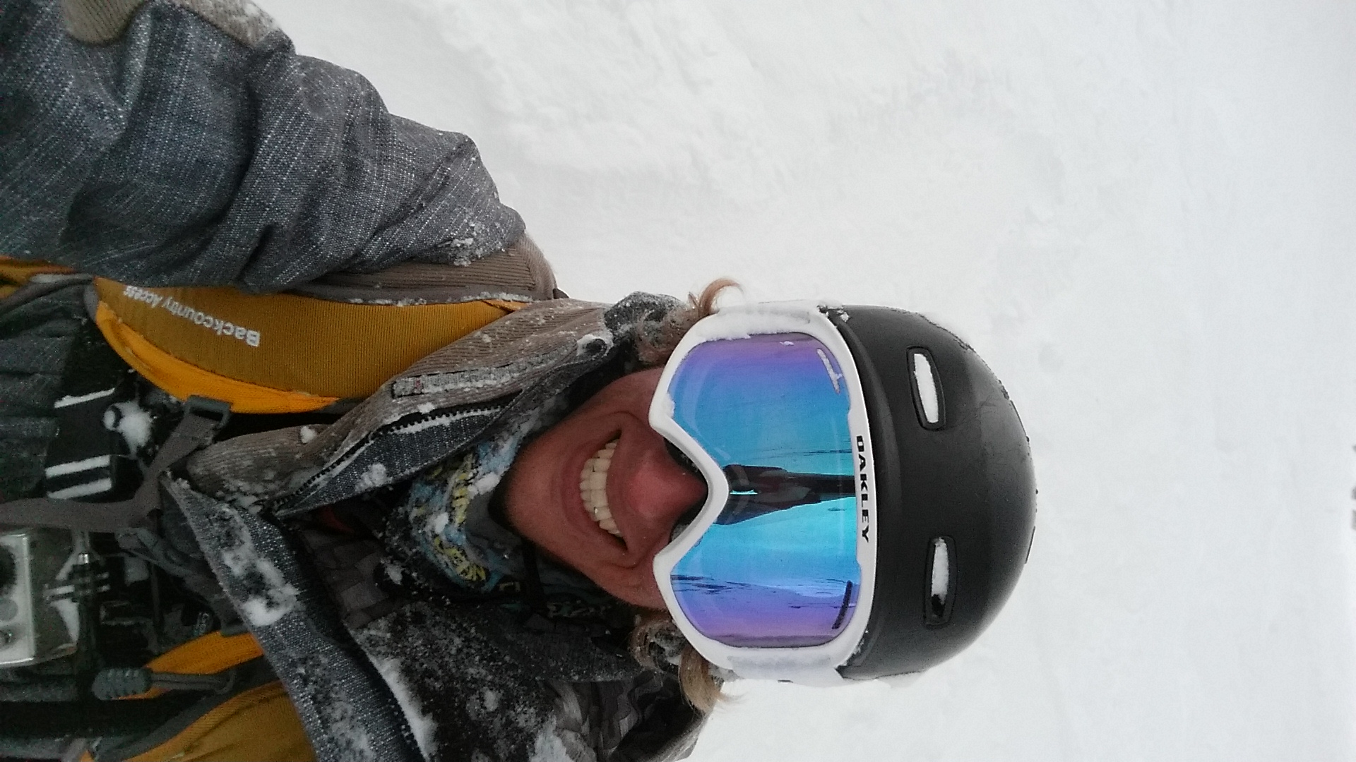 Terril Van Hemert - Clarity of Direction for Chiropractors Expert - Clarity