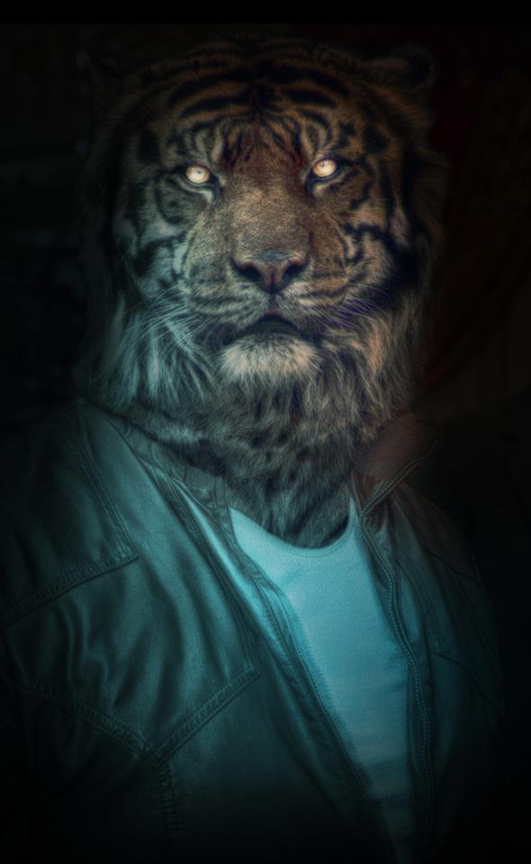 Kyrillos Nabil Fouad - Graphic Design Art and Advertising Expert - Clarity