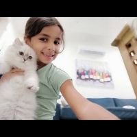 Sara Rami Abdel Mutaleb Shteiwi - Profile