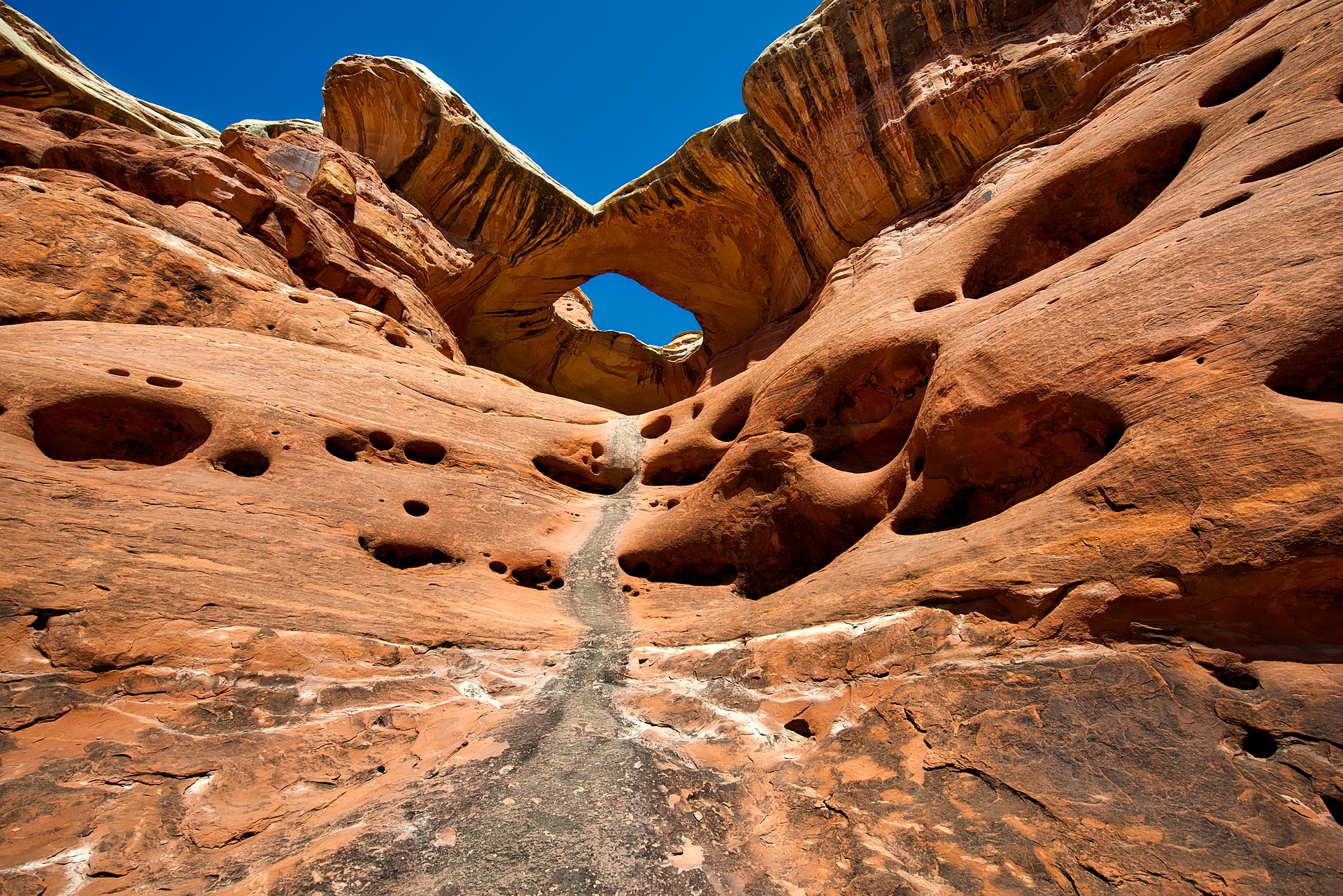 Canyonlands National Park Hikes: Top Trails Guide
