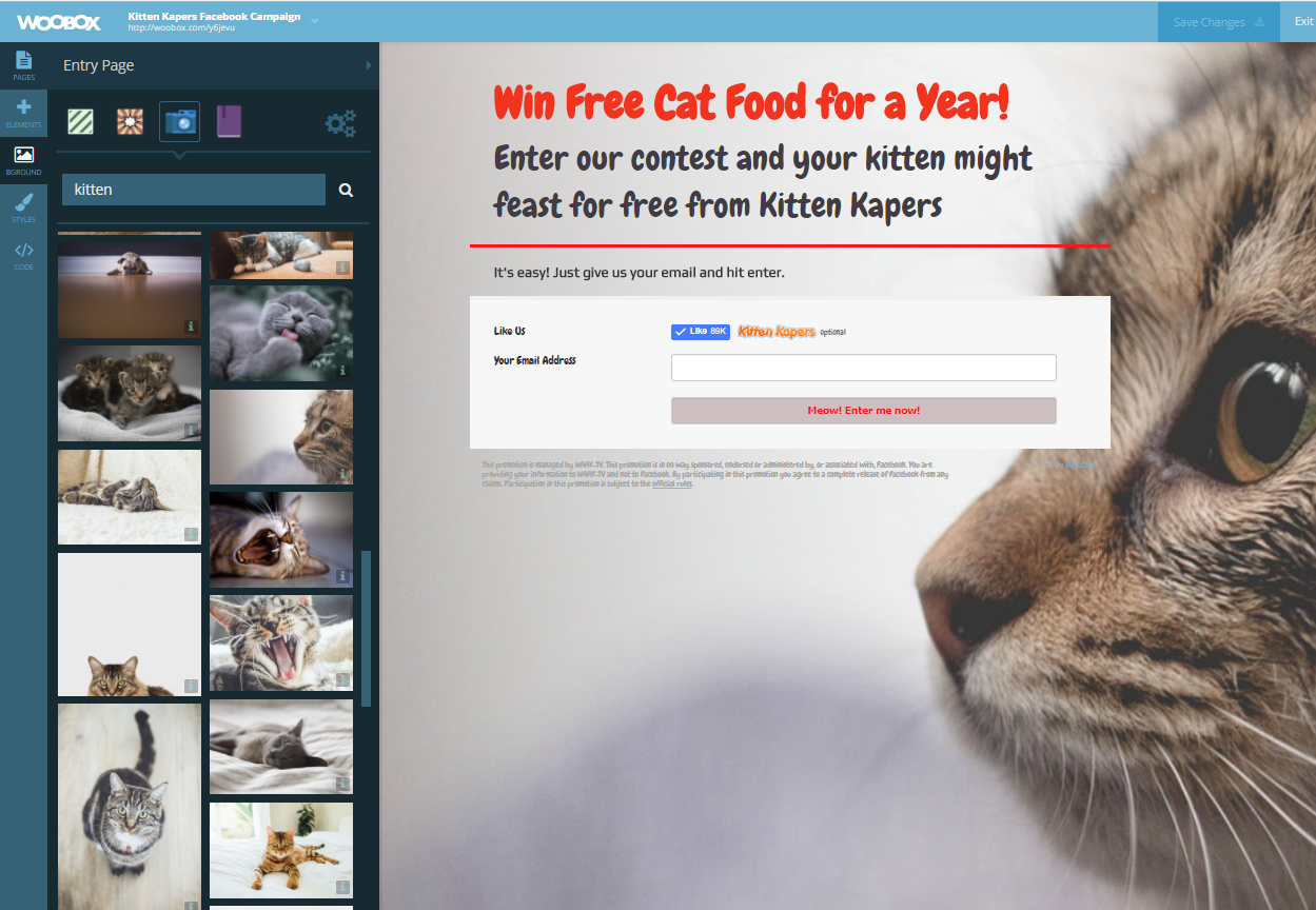 See How Custom Landing Pages & Form Fields Are a Part of Every Woobox ...