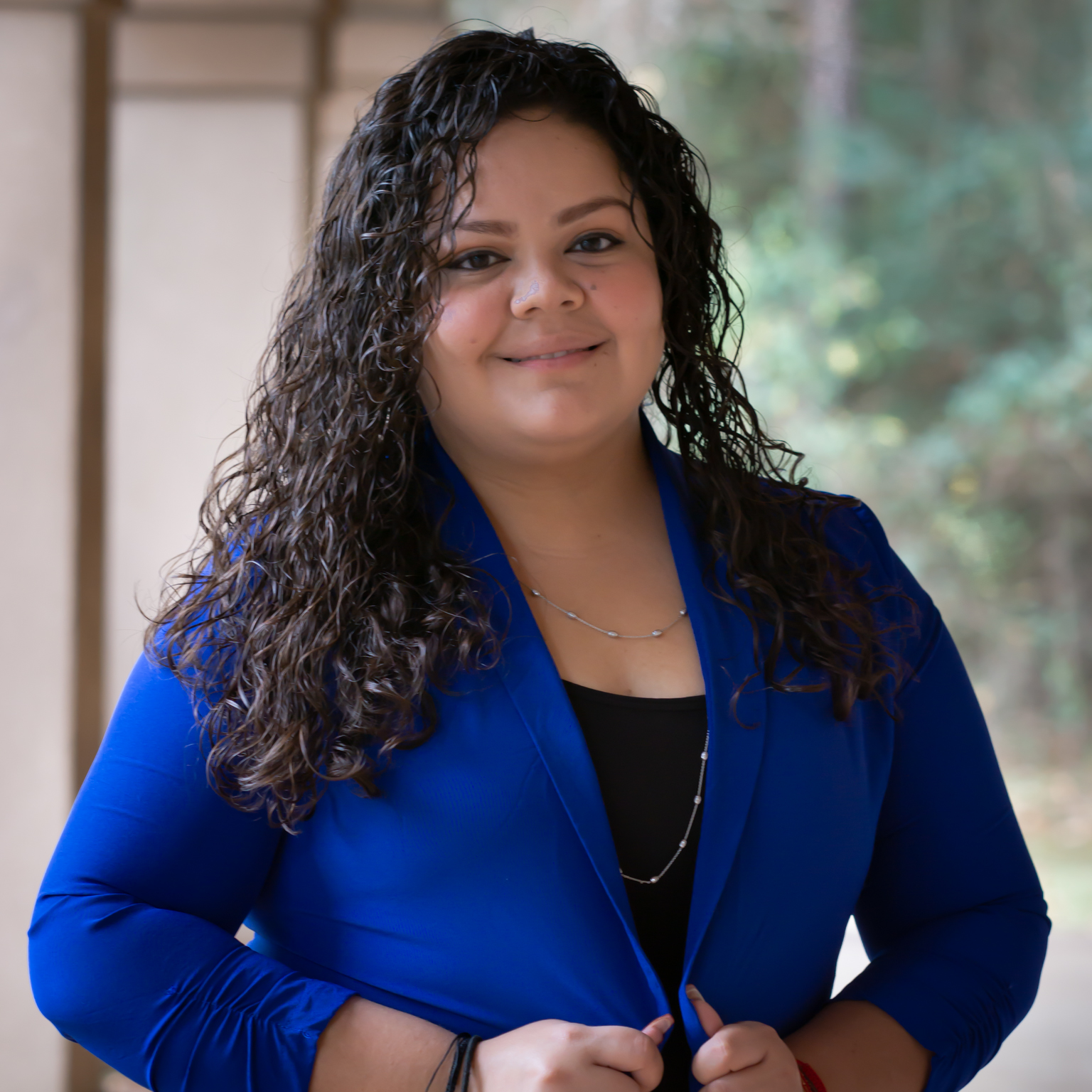 IDX Property Services