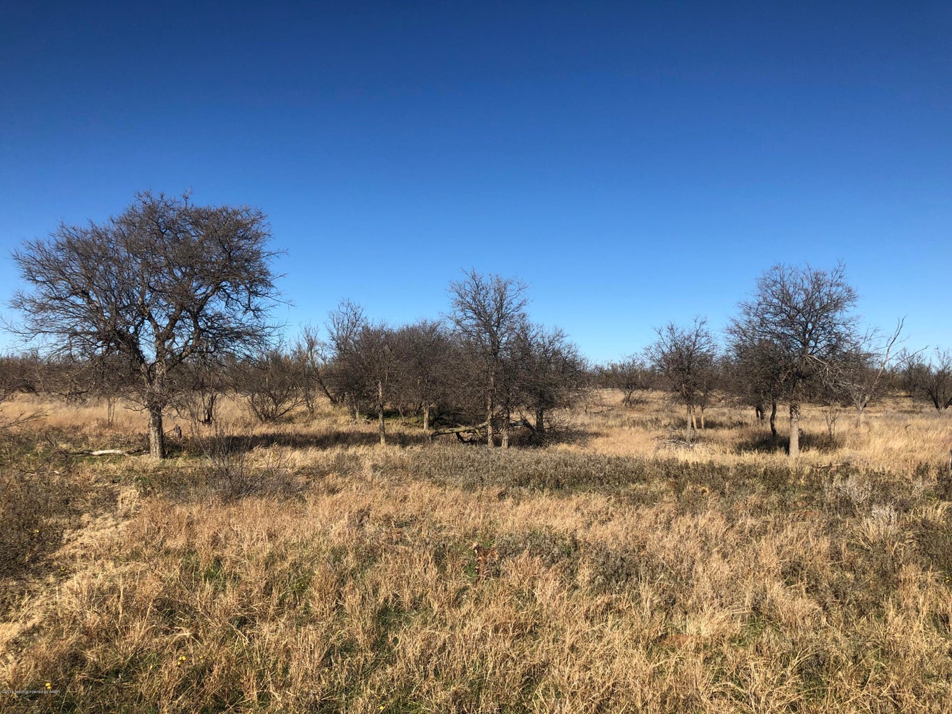 Farm & Ranch for sale in Dodson, Texas, 54671C1716733651110