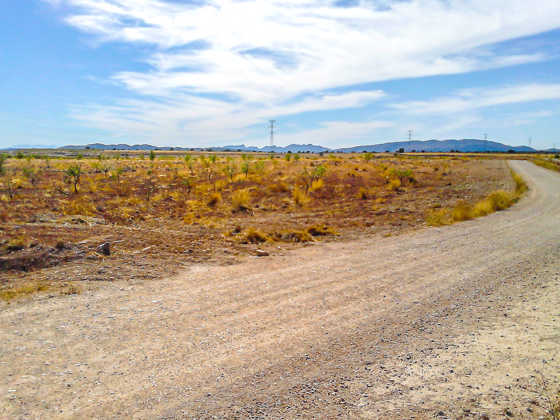 Land for sale in Jumilla - €30,000 (CF1475)