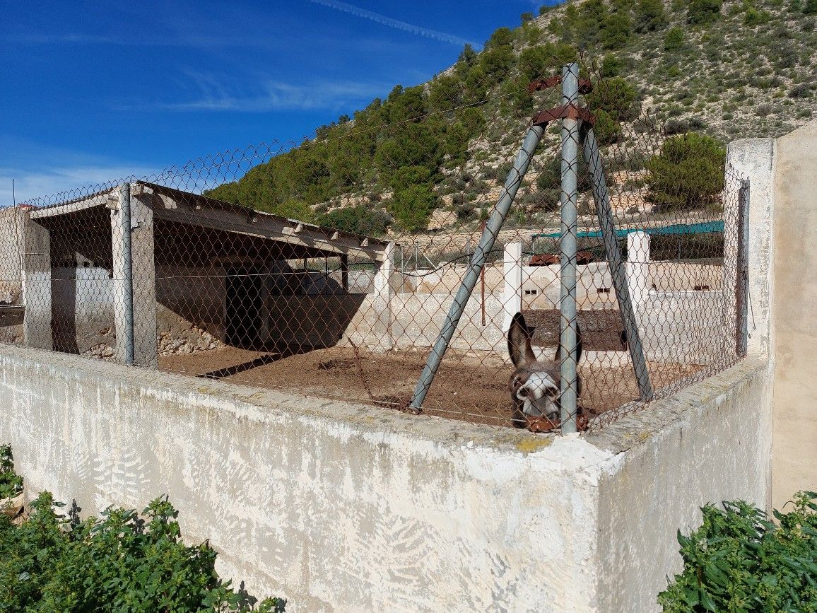 Country House for sale in Monovar - €160,000 (CF2759)