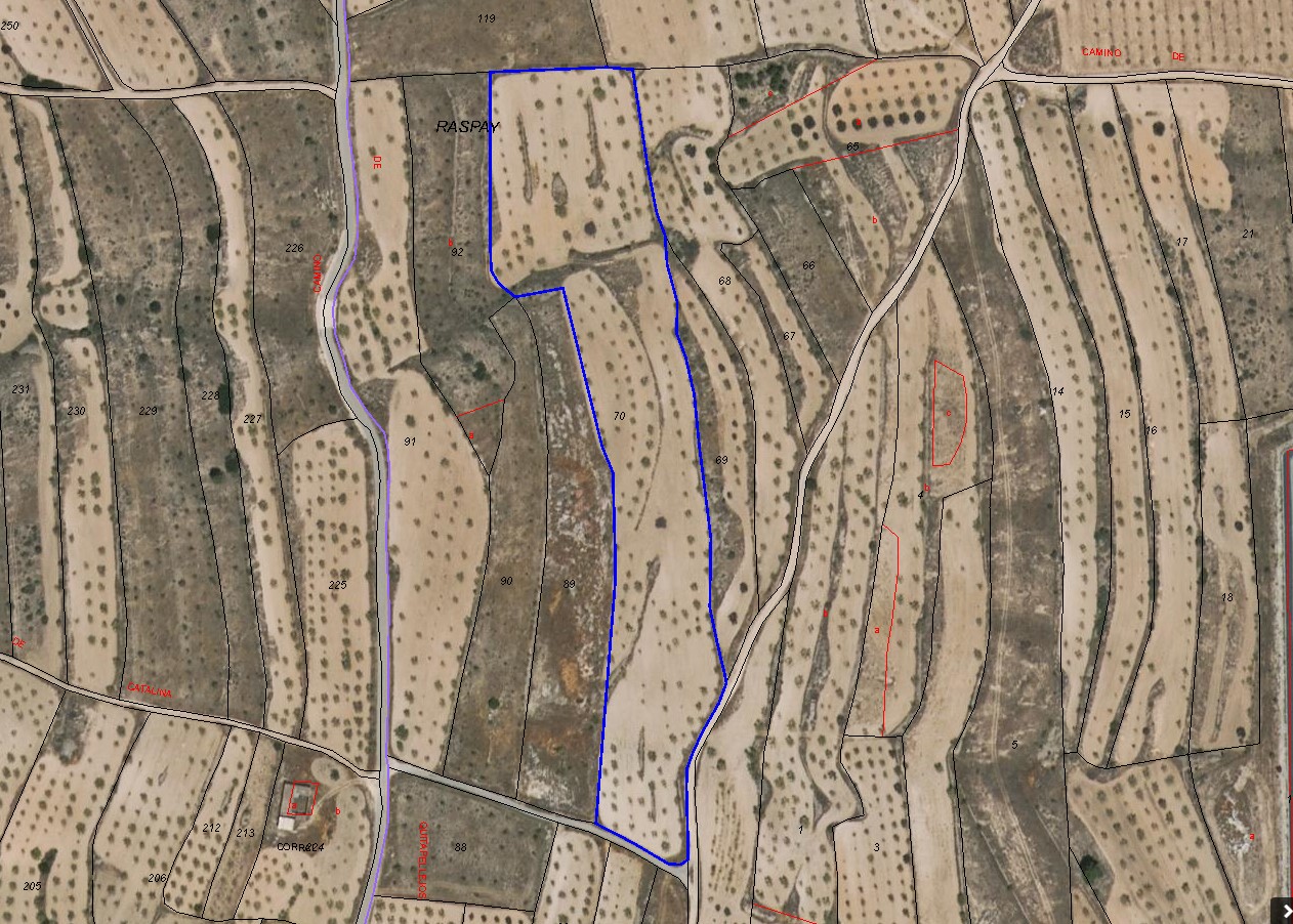 Land for sale in Raspay - €26,000 (CF2904)