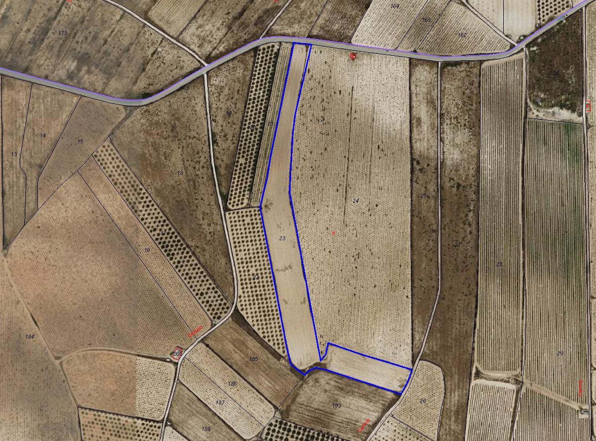 Land for sale in Pinoso - €65,100 (CF3232)