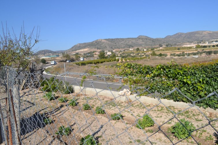 Cave House for sale in La Romana - €58,995 (CF1515)