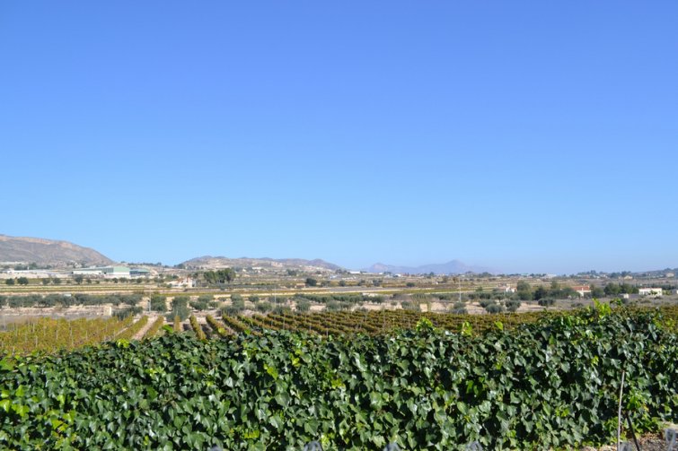 Cave House for sale in La Romana - €58,995 (CF1515)