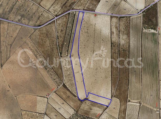 Land for sale in Pinoso - €65,100 (CF3232)