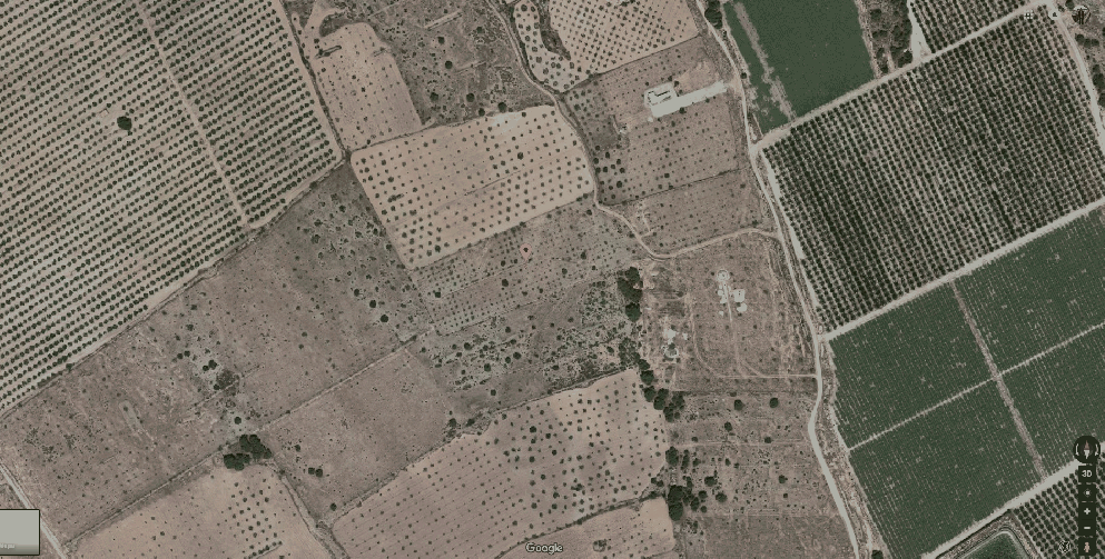 Land for sale in Monovar - €20,000 (CF1202)