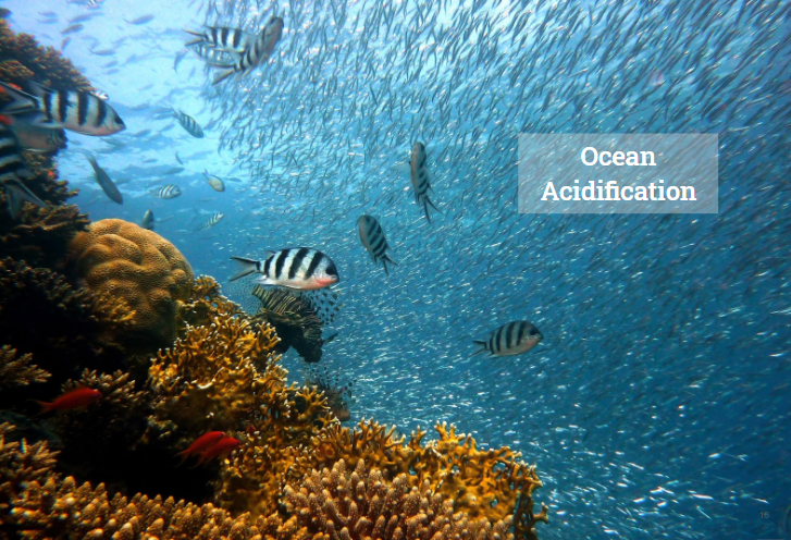 Climate Cascading Impact to the SDGs • Kumu