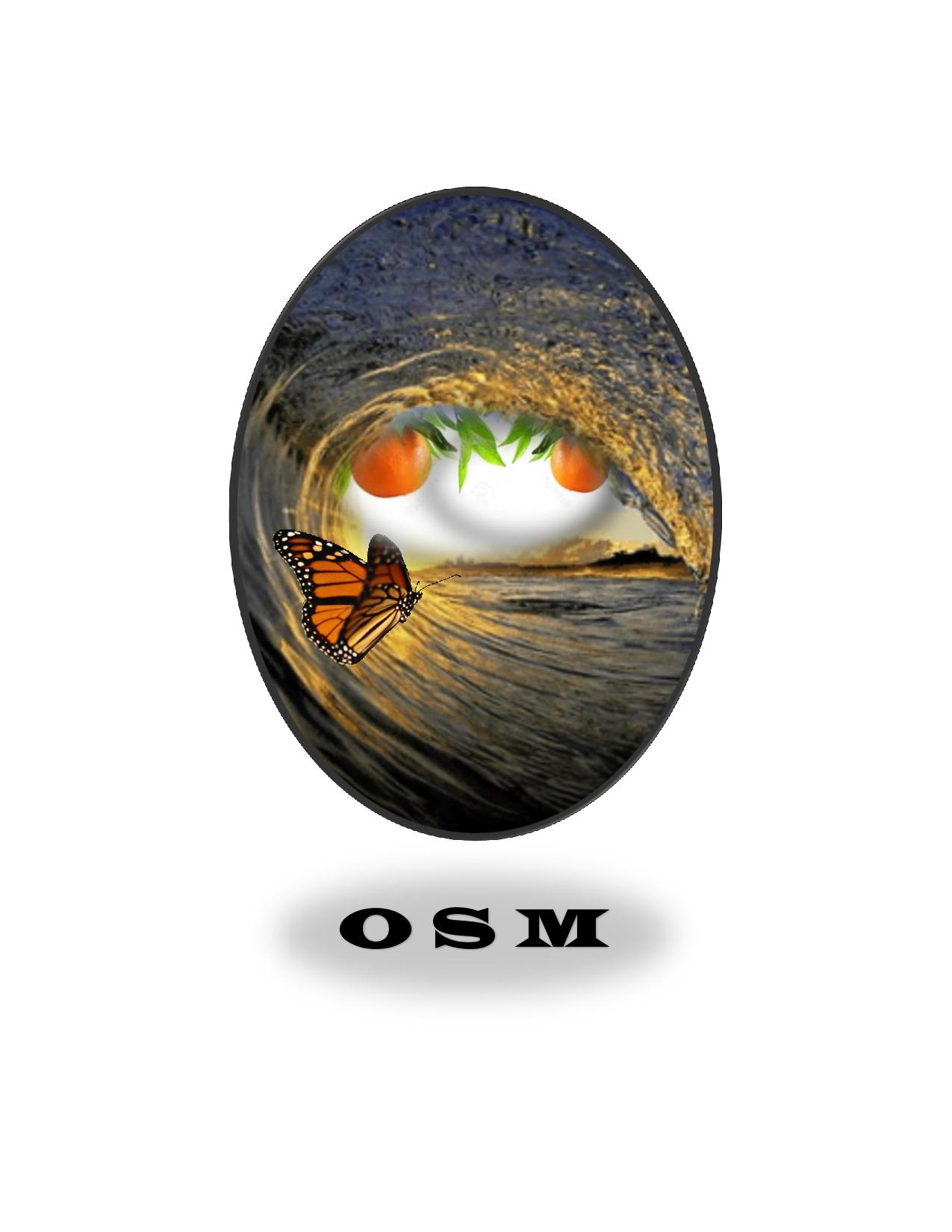 osmtransformers (OSM)