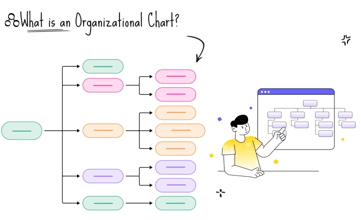 What is an Organizational Chart: Definition, Types & Guide