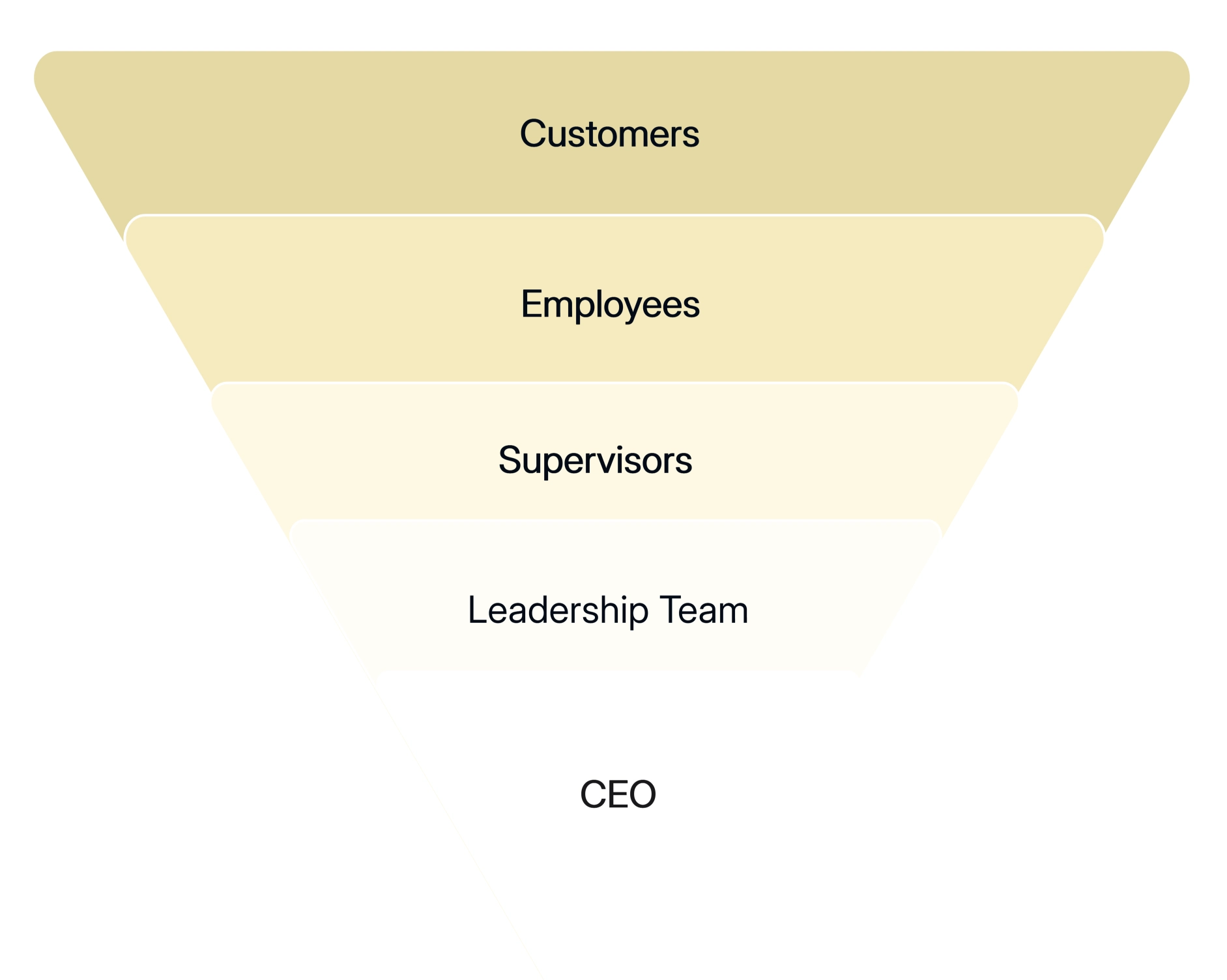 What is an Organizational Chart: Definition, Types & Guide