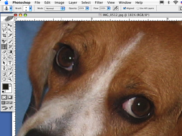 How to Use Photoshop for Mac | Techwalla.com