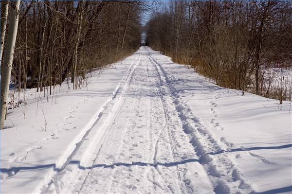 How to Change a Snowmobile Track | Gone Outdoors | Your Adventure Awaits