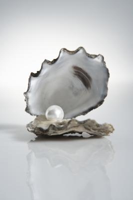 Iowa States Gemstone Names