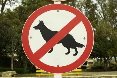 Difference Between Pictograms and Ideograms | The Pen and The Pad