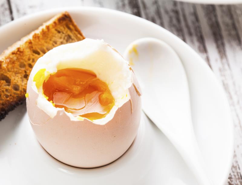 2 Boiled Eggs A Day Diet - domaingala