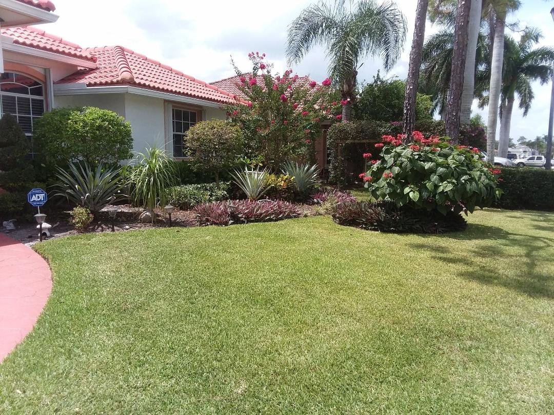 fred wright from Elders Ridge High School - Classmates