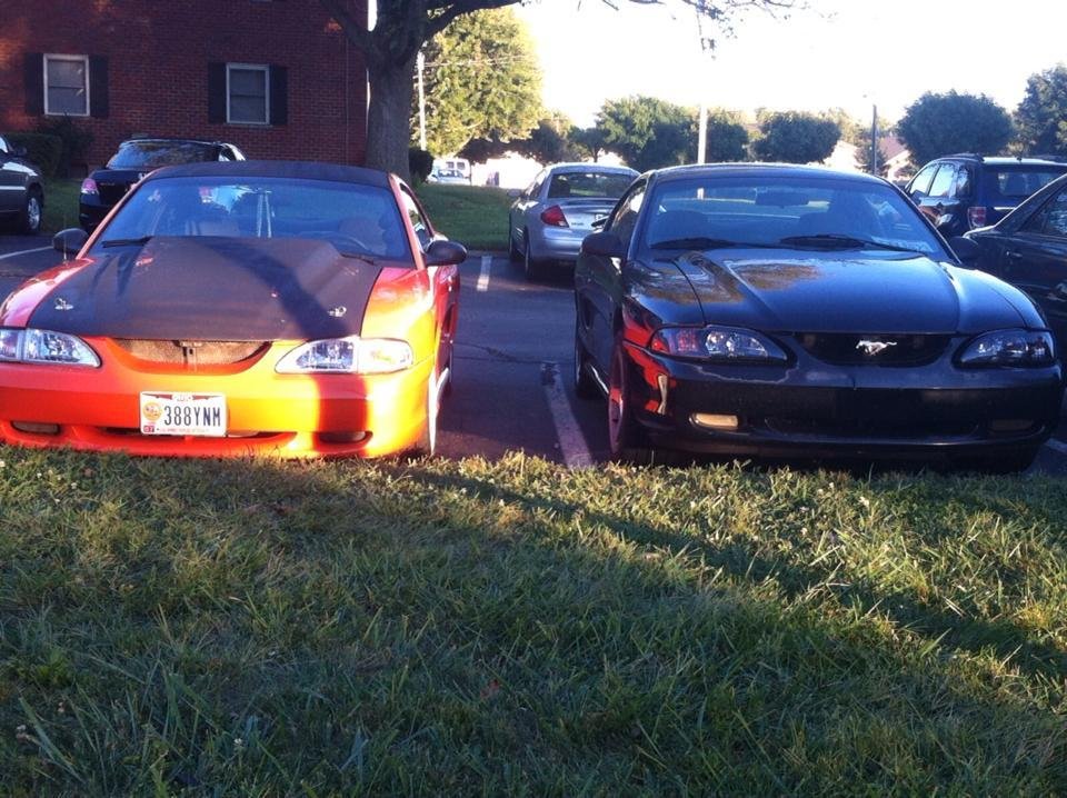 Jennifer Wheaton-Monholland from Wayne High School - Classmates