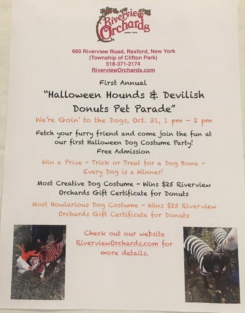 Isabel Prescott from Shenendehowa High School - Classmates