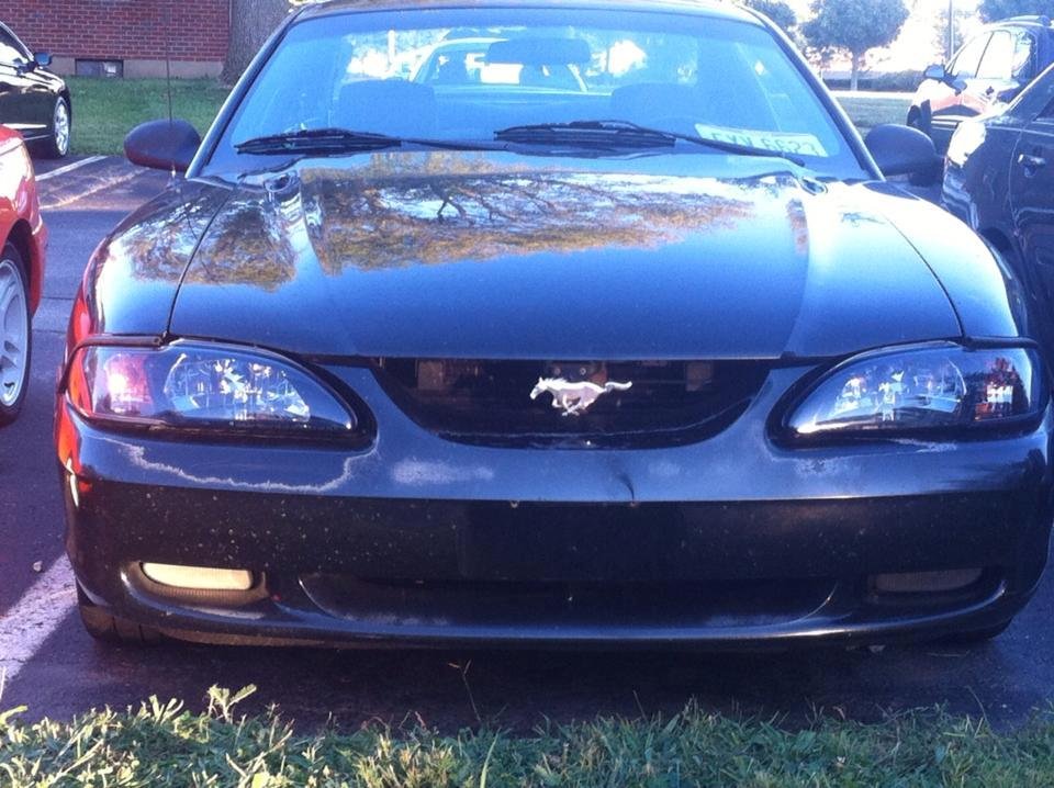 Jennifer Wheaton-Monholland from Wayne High School - Classmates