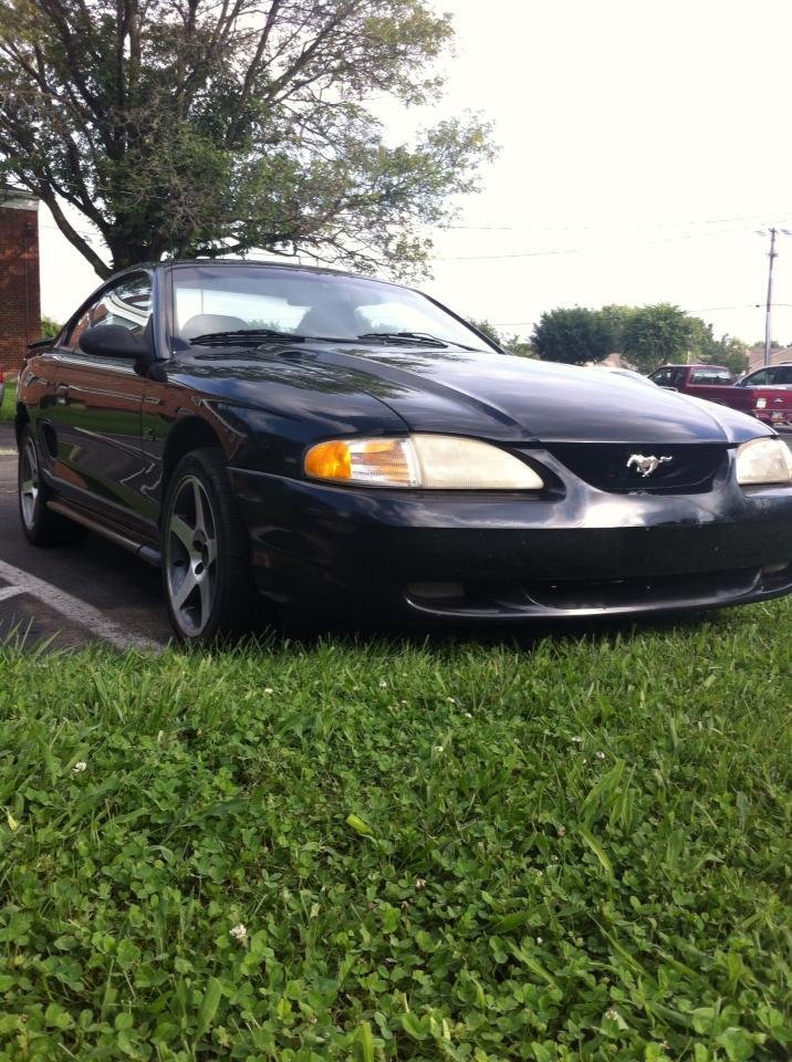 Jennifer Wheaton-Monholland from Wayne High School - Classmates