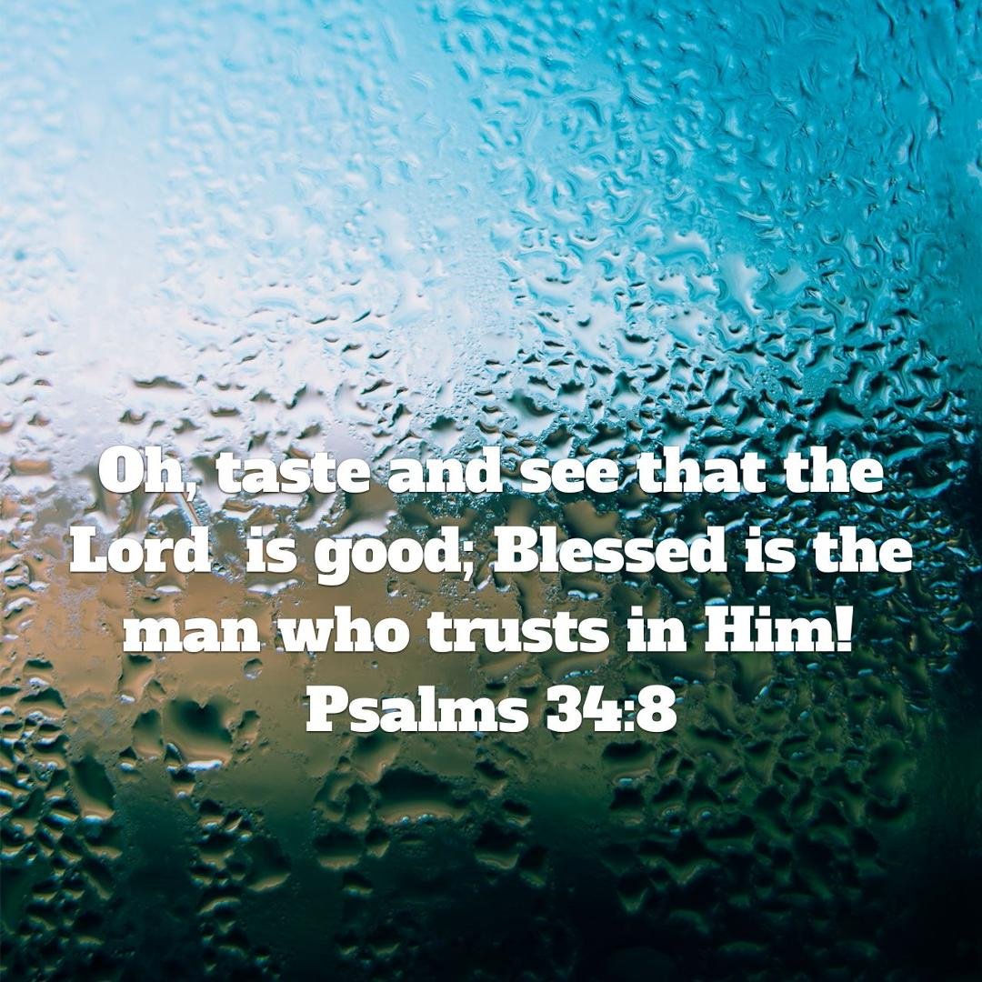 Bridget Dunbar-Spence from Carver Vocational-Technical High School 454 ...