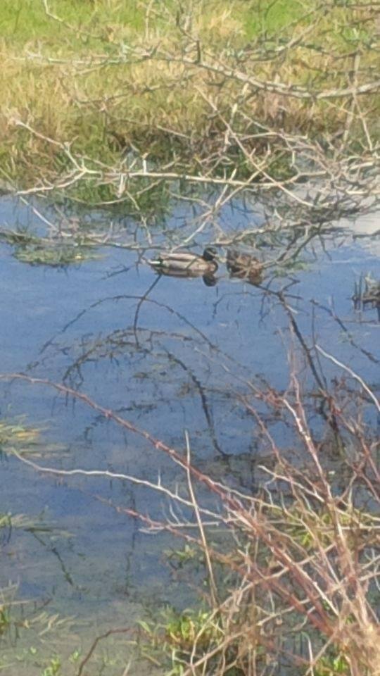 Joseph Lasko from Frazier High School - Classmates