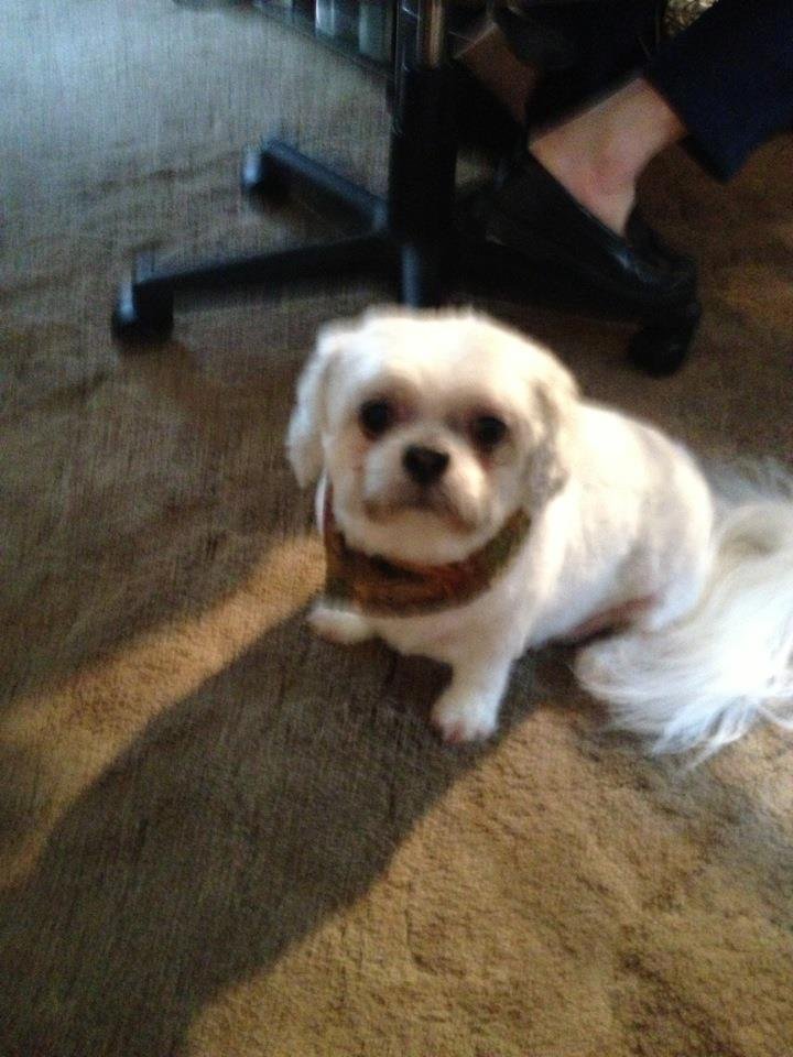 Irwin Brownstein from Brush High School - Classmates