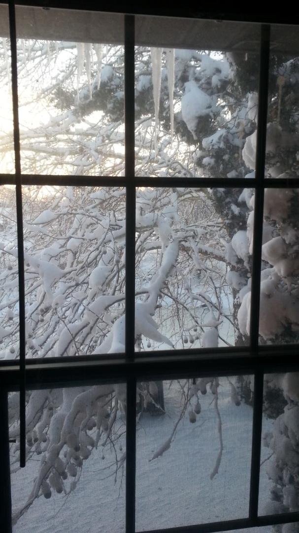 Jeffrey Jobe from Dekalb High School - Classmates