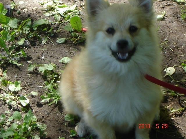 Nancy Snider from Kendall High School - Classmates