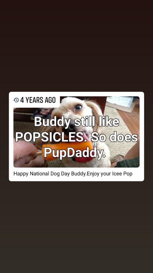 Eric Zwick from Paramus High School - Classmates